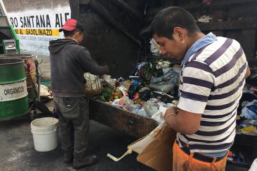 Ponen en riesgo el sustento de vida de recicladores informales con ...