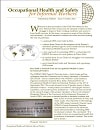 Occupationl Health & Safety (OHS) Newsletter October 2012 - WIEGO