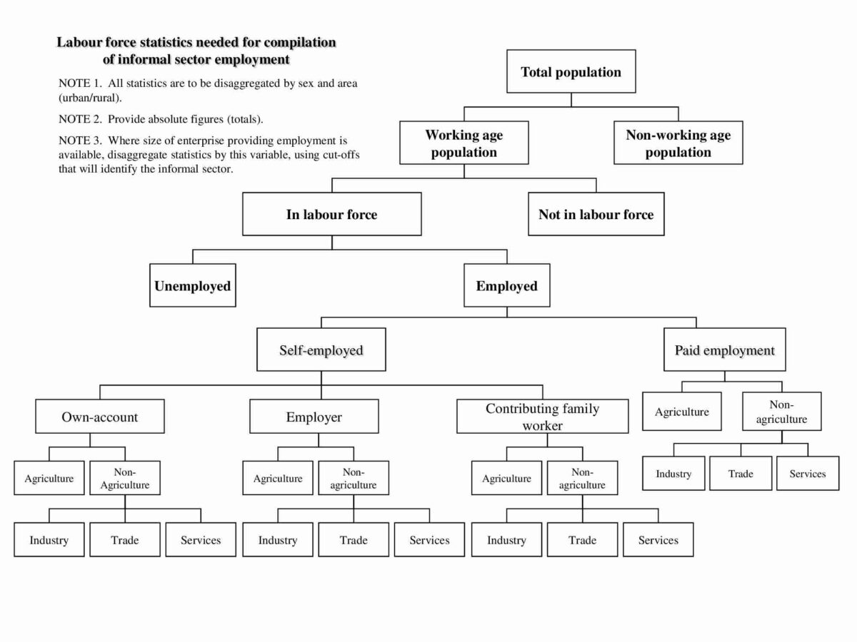 Labour Force Statistics Needed for Compilation of Informal Sector ...