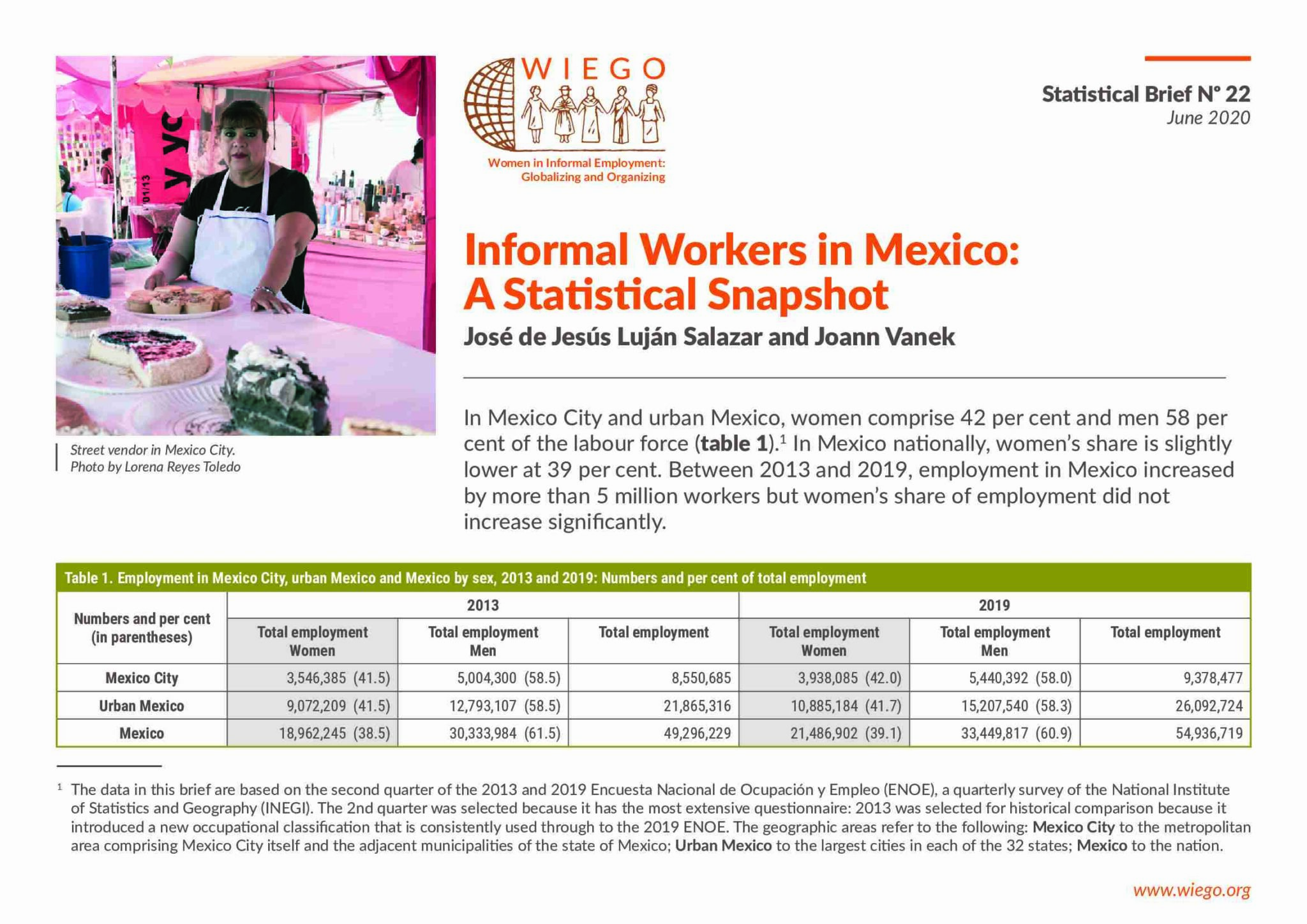 Statistical Picture - WIEGO