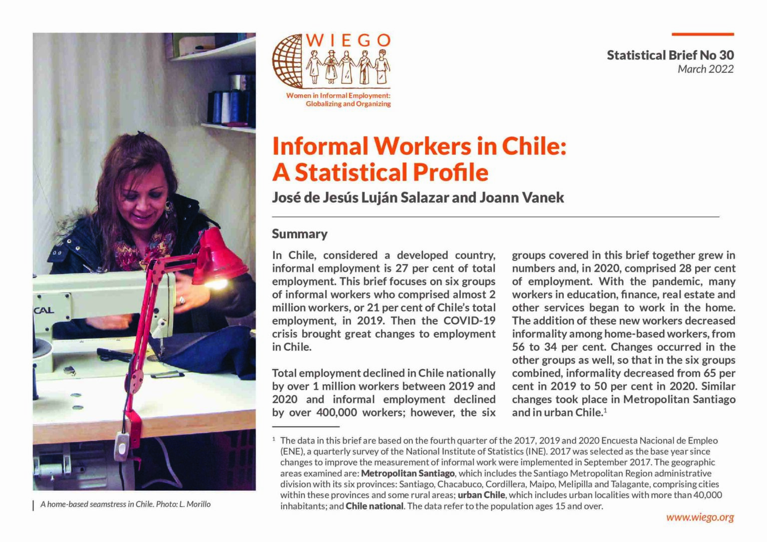 Statistical Picture - WIEGO