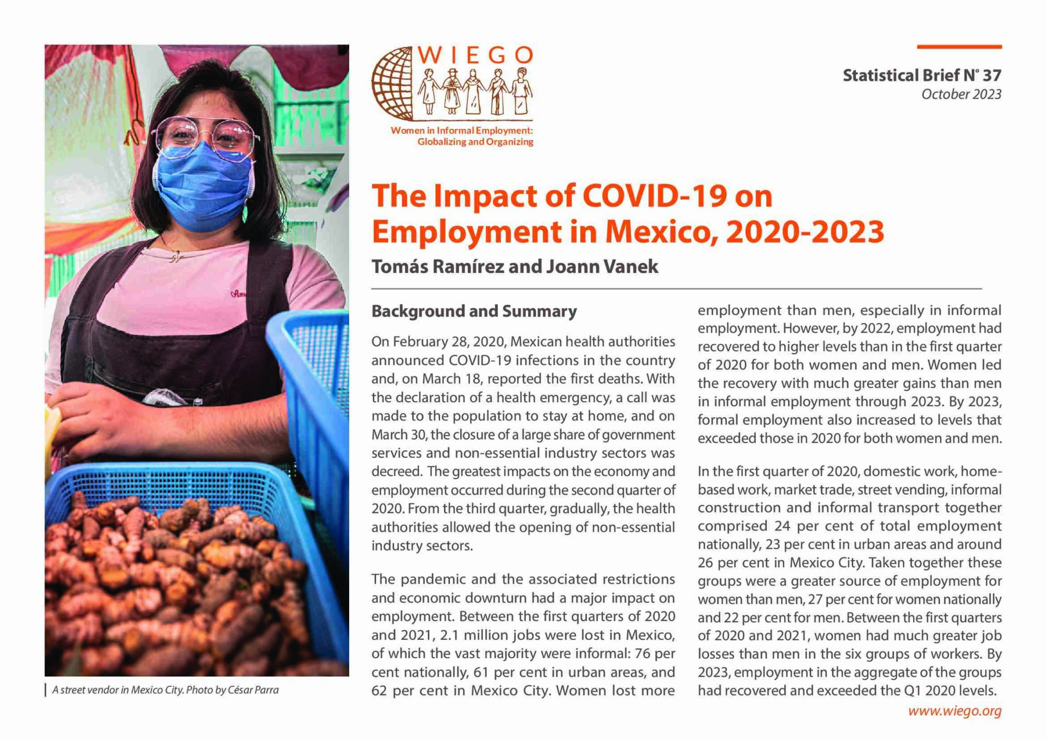 Statistical Picture - WIEGO