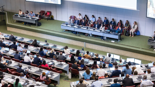 International Labour Conference 2026: What Does the New Convention on ...